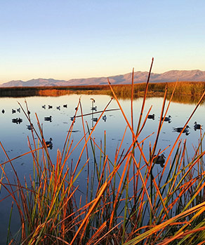 Utah Division of Wildlife Resources